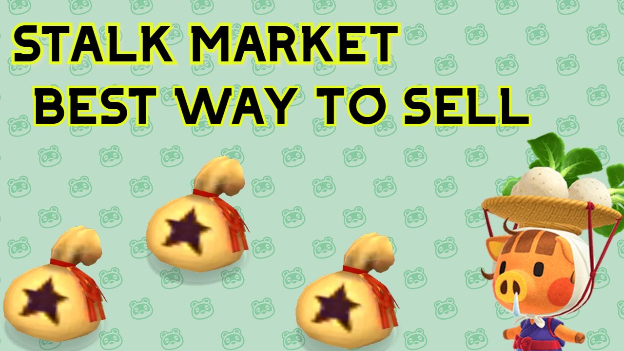Animal Crossing New Horizons STALK MARKET - YouTube
