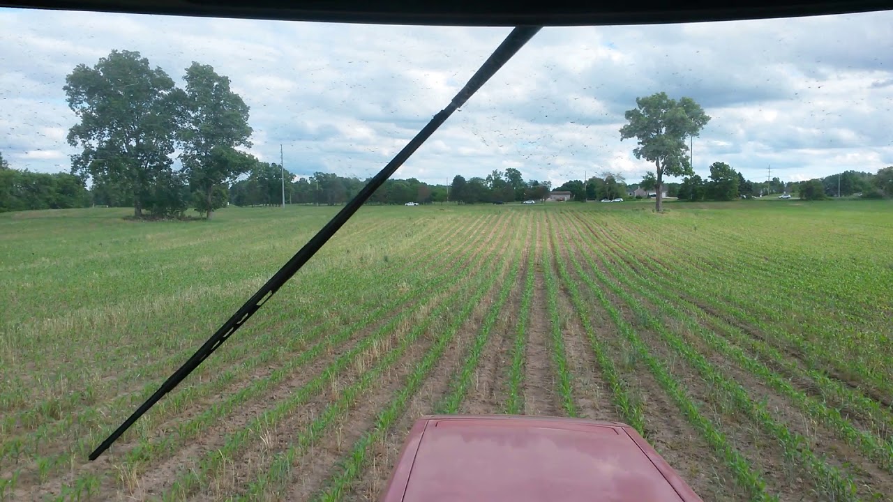 Side dress corn with 28% fertizer. . - YouTube