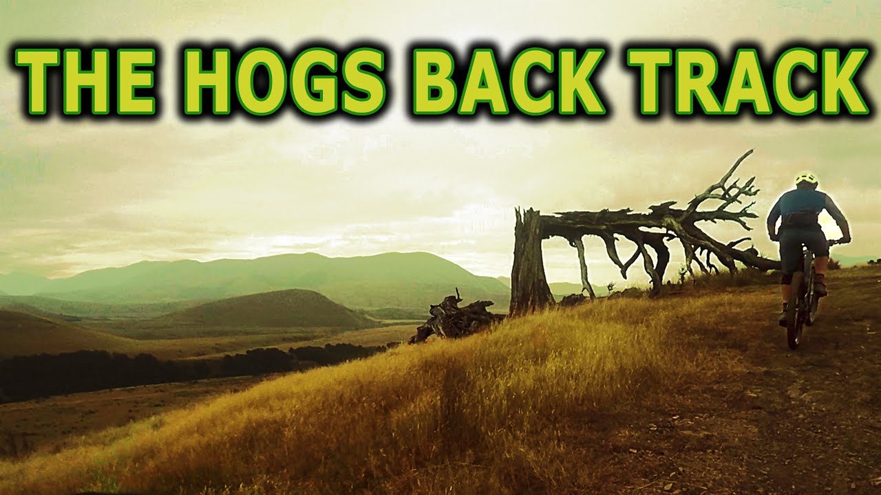 The HOGS BACK TRACK: There and Back | MTB Trail Magic - YouTube