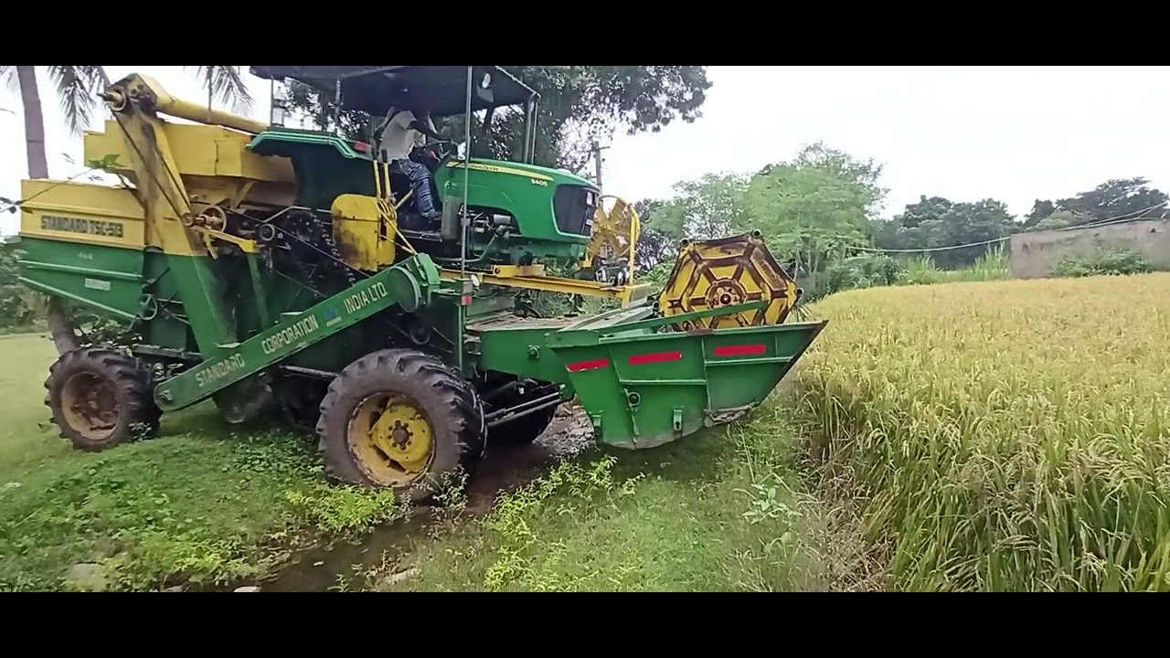 vari kotha....💚💝#paddy harvesting #explorethebeautyofnature - YouTube