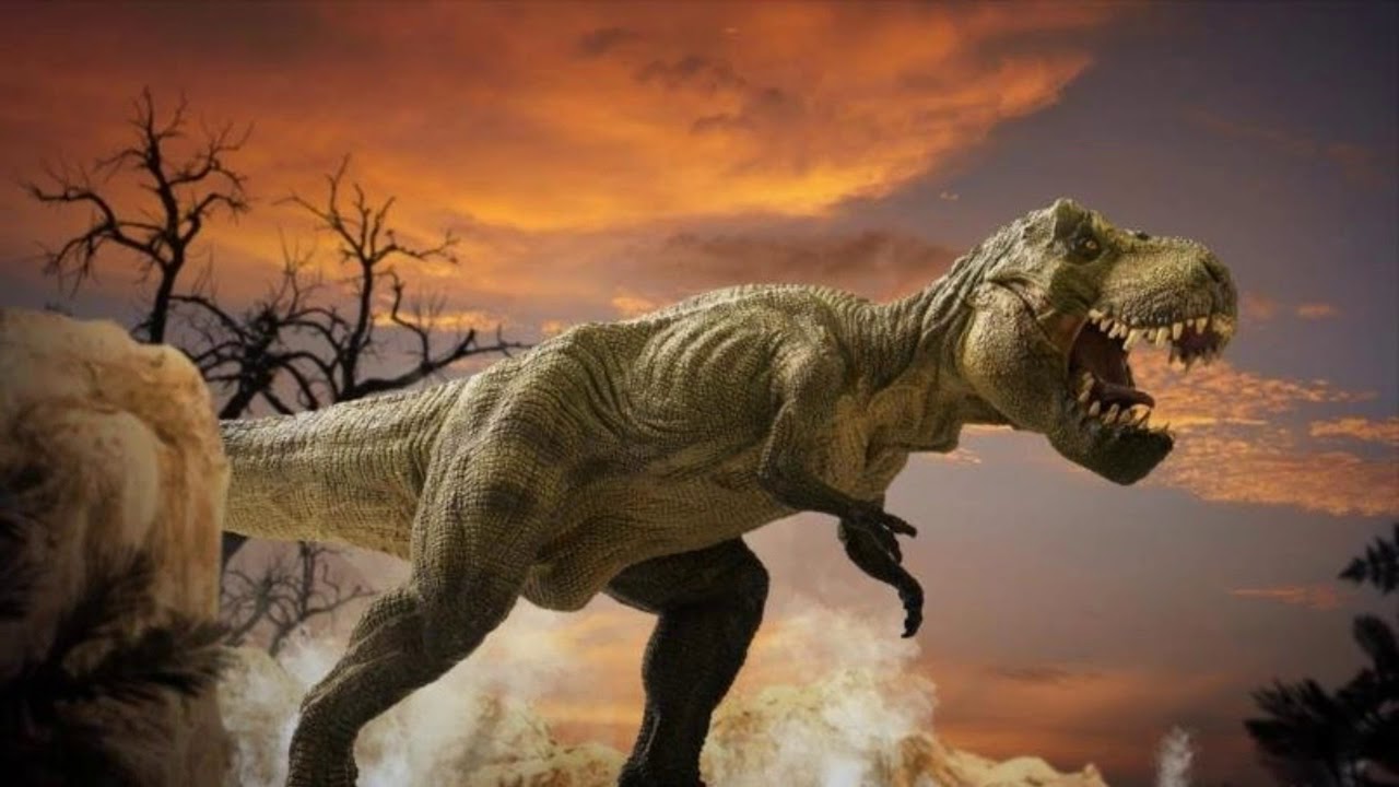 5 Extinciones masivas mas letales en el planeta tierra - YouTube