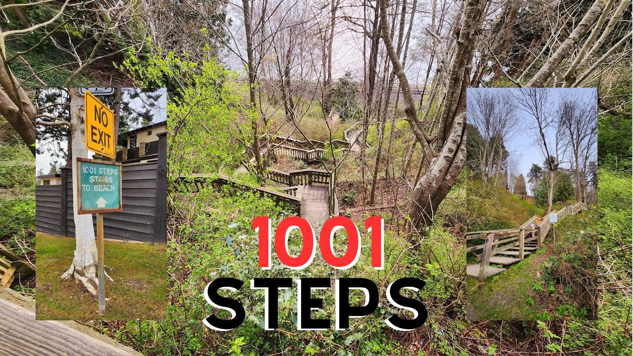 1001 Steps Stairs to Beach | Surrey - YouTube