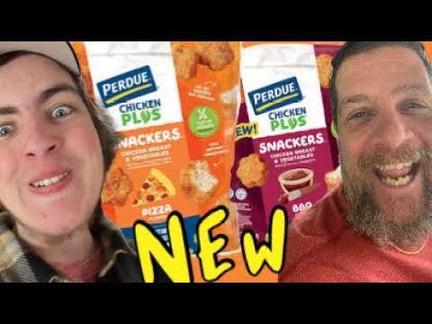 Are Perdue Chicken Plus Snackers Any Good!? (Chicken and Vegetable BBQ ...