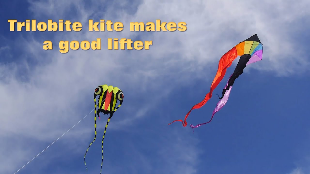 Trilobite kite as a lifter - YouTube