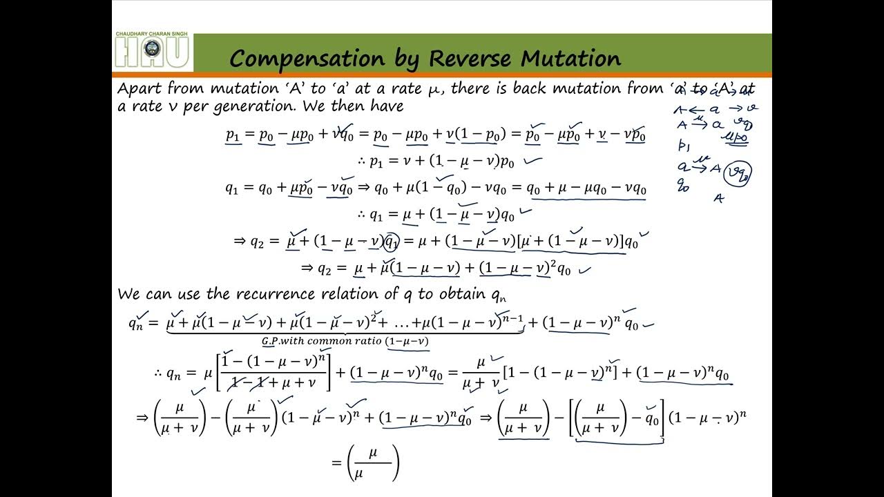 Change in gene frequency Lecture 7 part 2 - YouTube