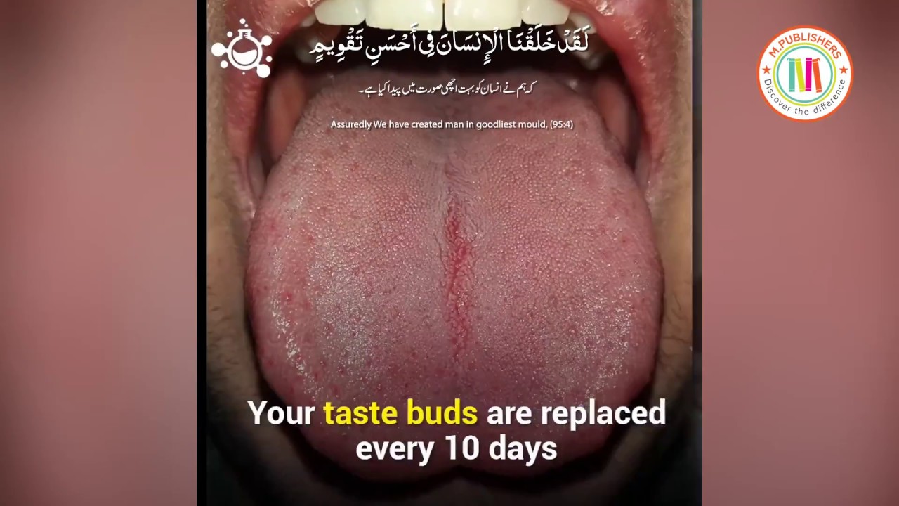 Allah has created Our Body | Scientific Facts - YouTube