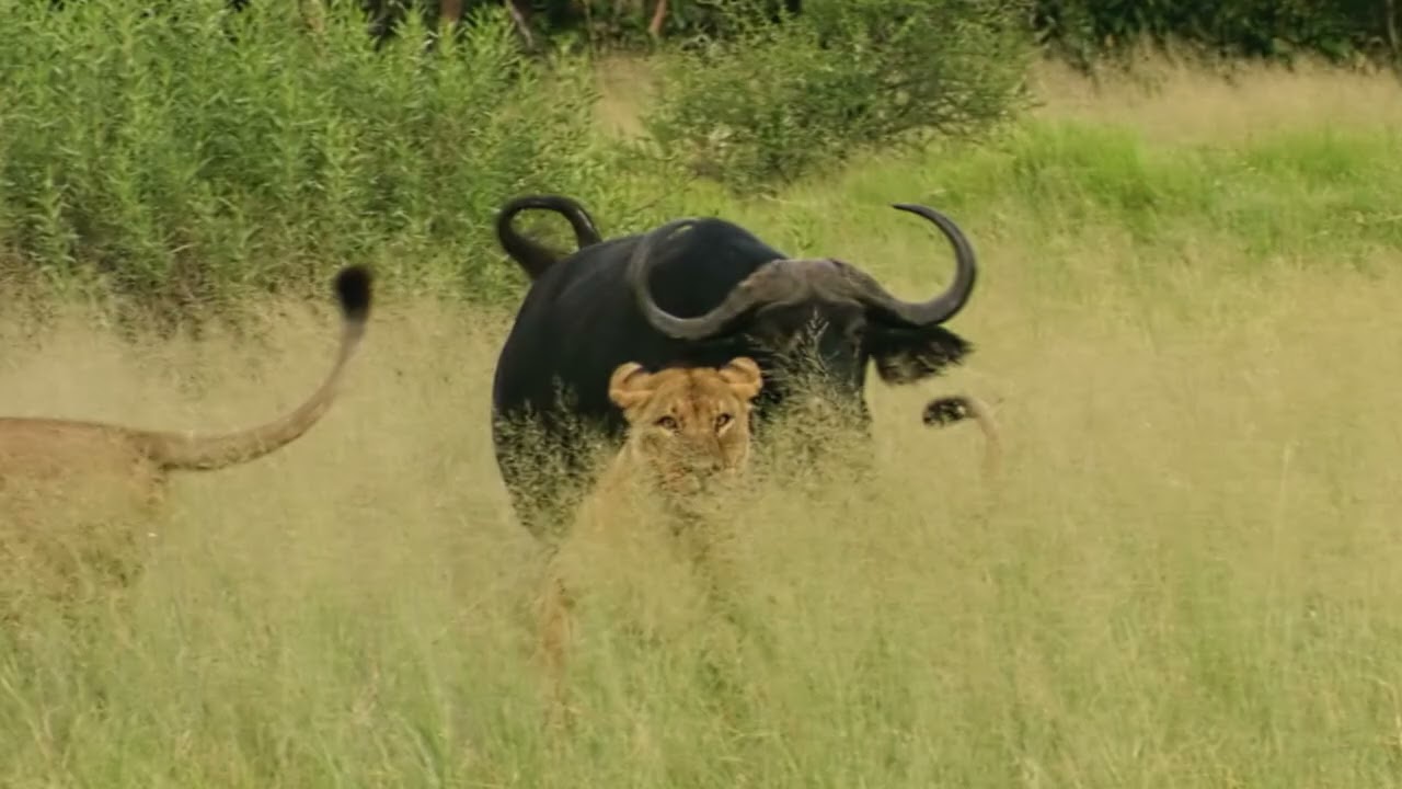 Relentless Enemies - YouTube