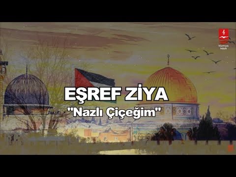 EŞREF ZİYA  \