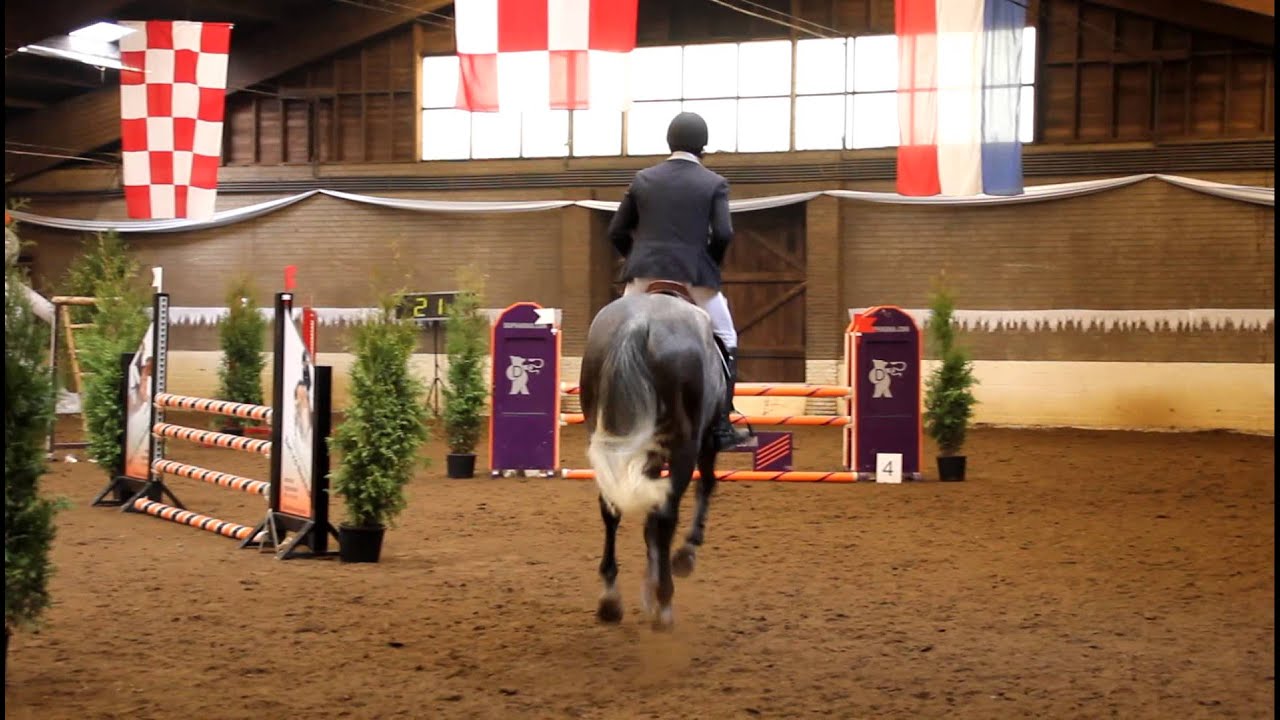 Dukato m=Stakkato x casinni l x landgraf stallion 2008 - YouTube