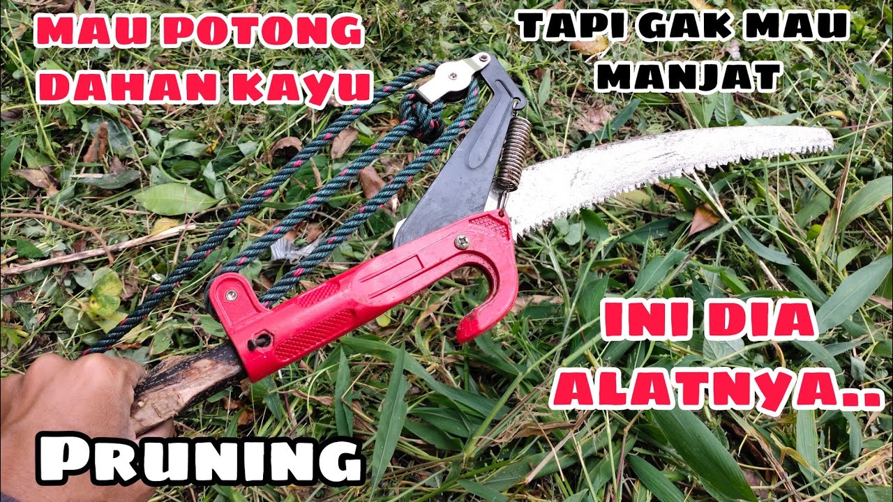 Alat pemotong ranting atau dahan.cepat dan praktis tak perlu manjat ...