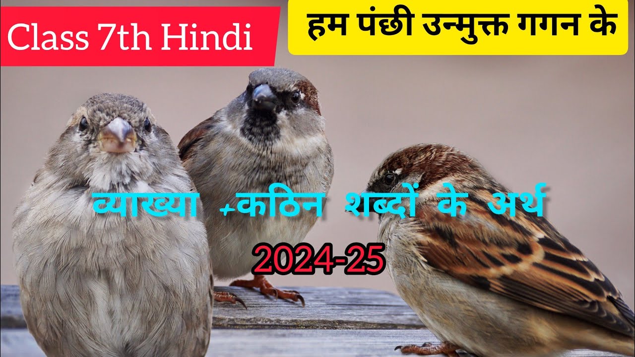 Class 7 Hindi Chapter 1- हम पंछी उन्मुक्त गगन के | वसंत | Class 7 Hum ...