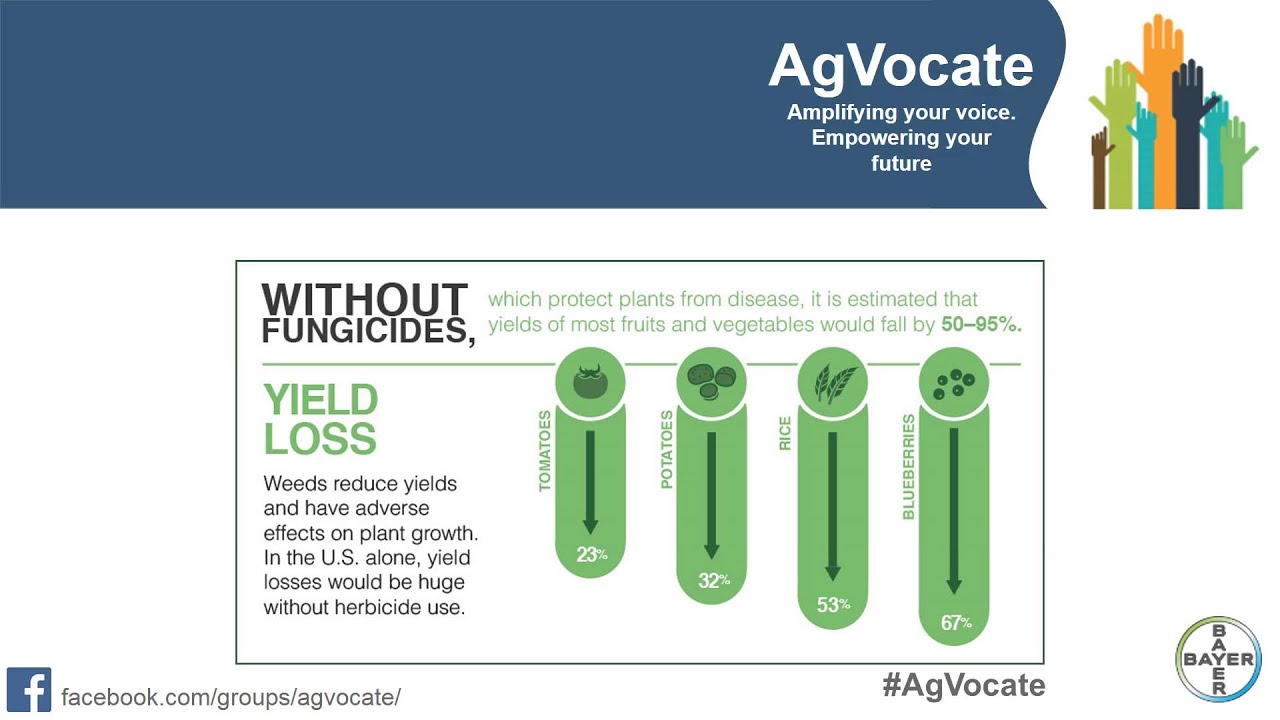 AgVocate Facts Movie - YouTube