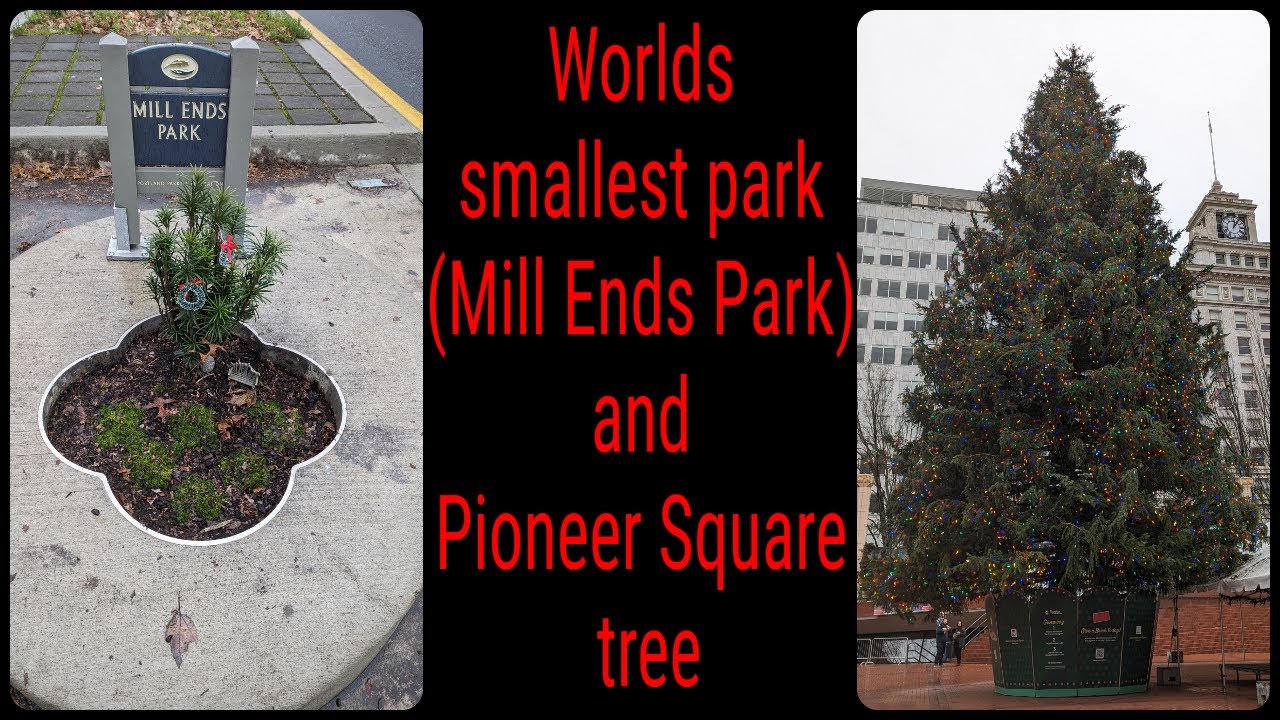 Worlds smallest park, and Pioneer Square tree - YouTube