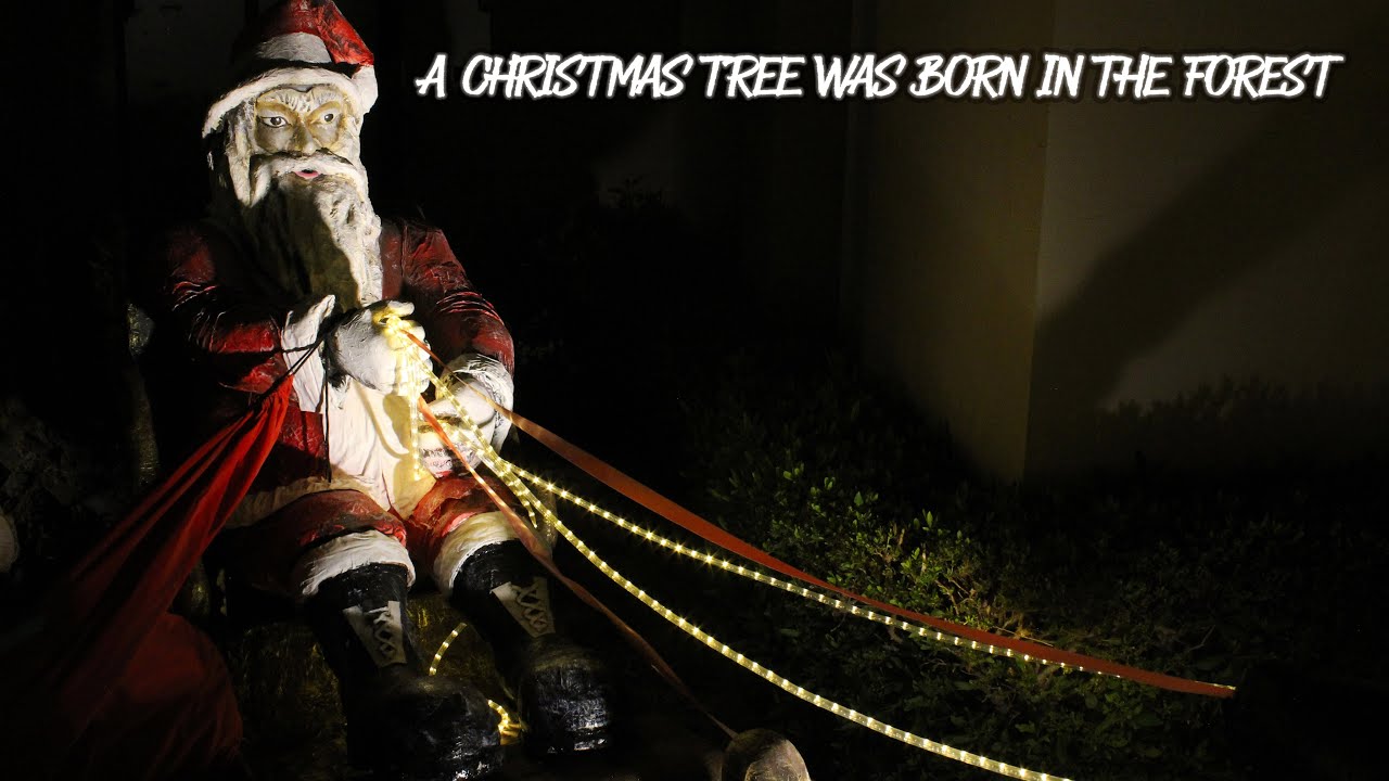 A Christmas tree was born in the forest | Sax Performer Emil Fayzulin ...