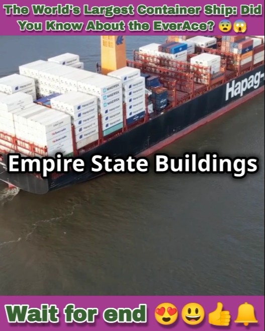 The World's Largest Container Ship: Did You Know About the EverAce? # ...