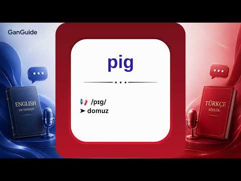 A1 İngilizce Kelimeler – P Harfi | Pronunciation ve Türkçe Anlamları