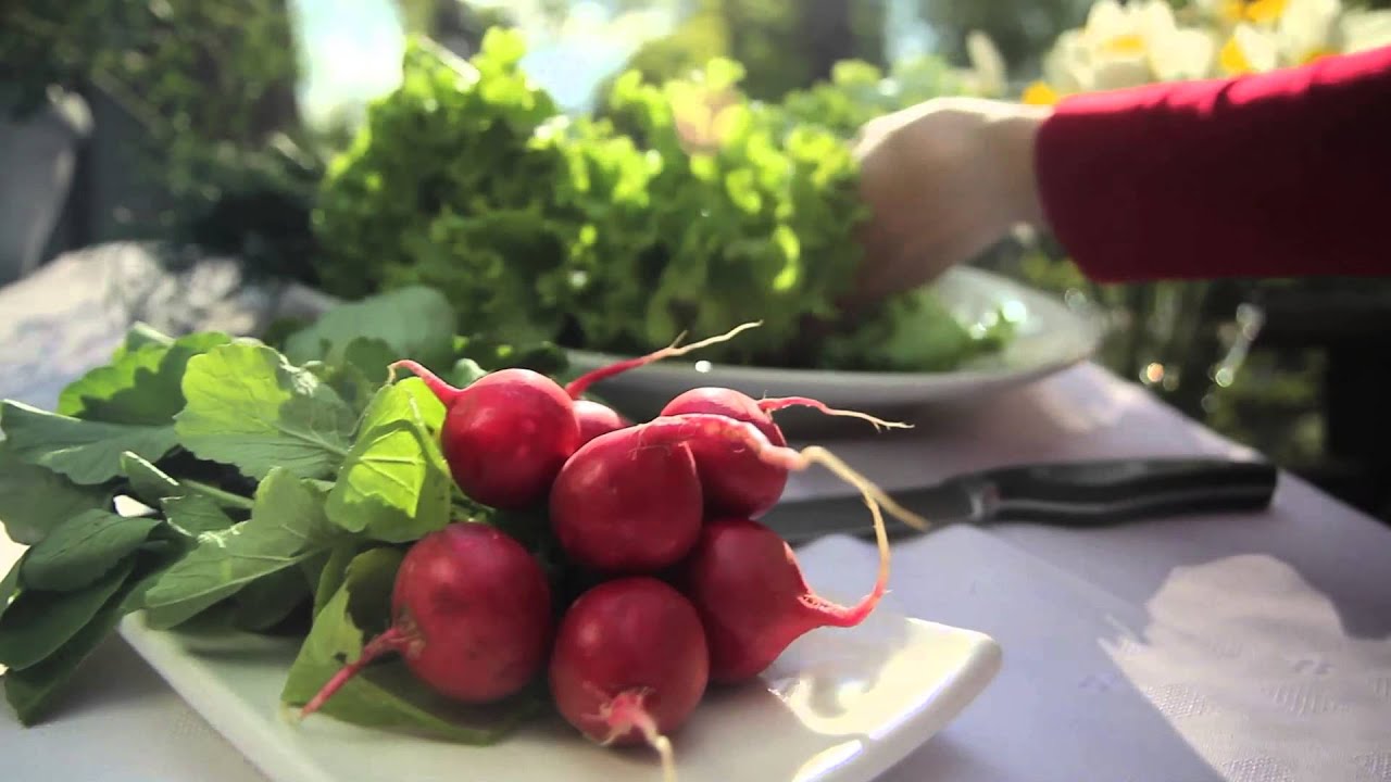 Pavasaris Latvijas laukos / Spring in the rural Latvia - YouTube