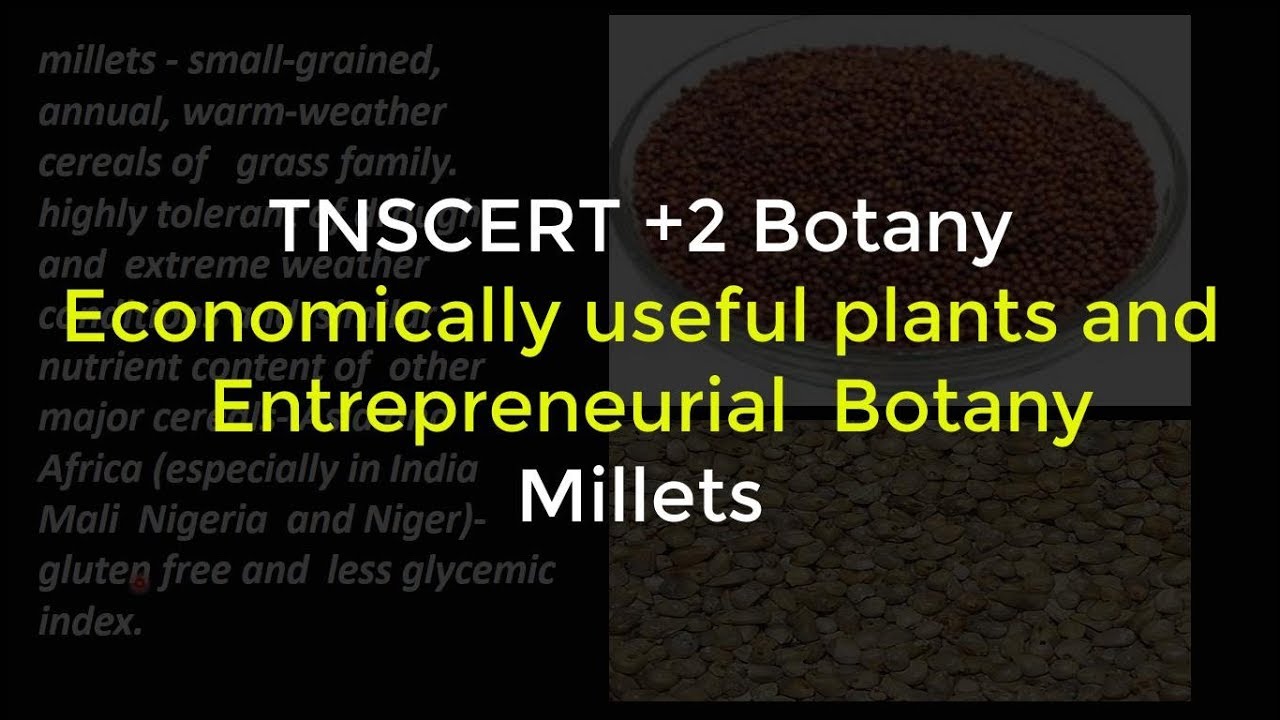 4.Botany | Economically useful plants and entrepreneurial botany ...