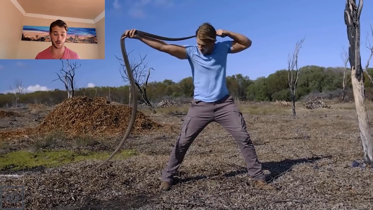 Black Mamba Vs Human! Freehandle Breakdown. - YouTube