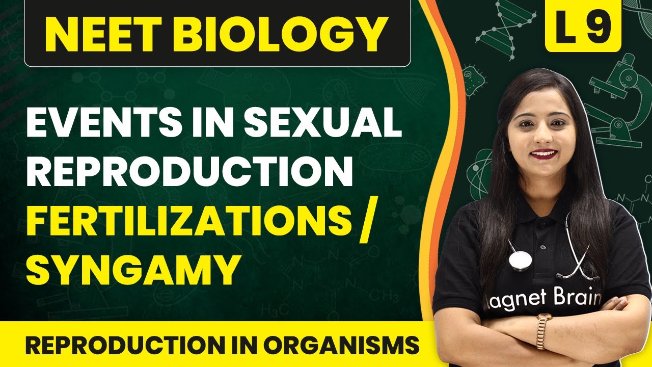Events in Sexual Reproduction - Part 2 | Reproduction In Organisms - L9 ...
