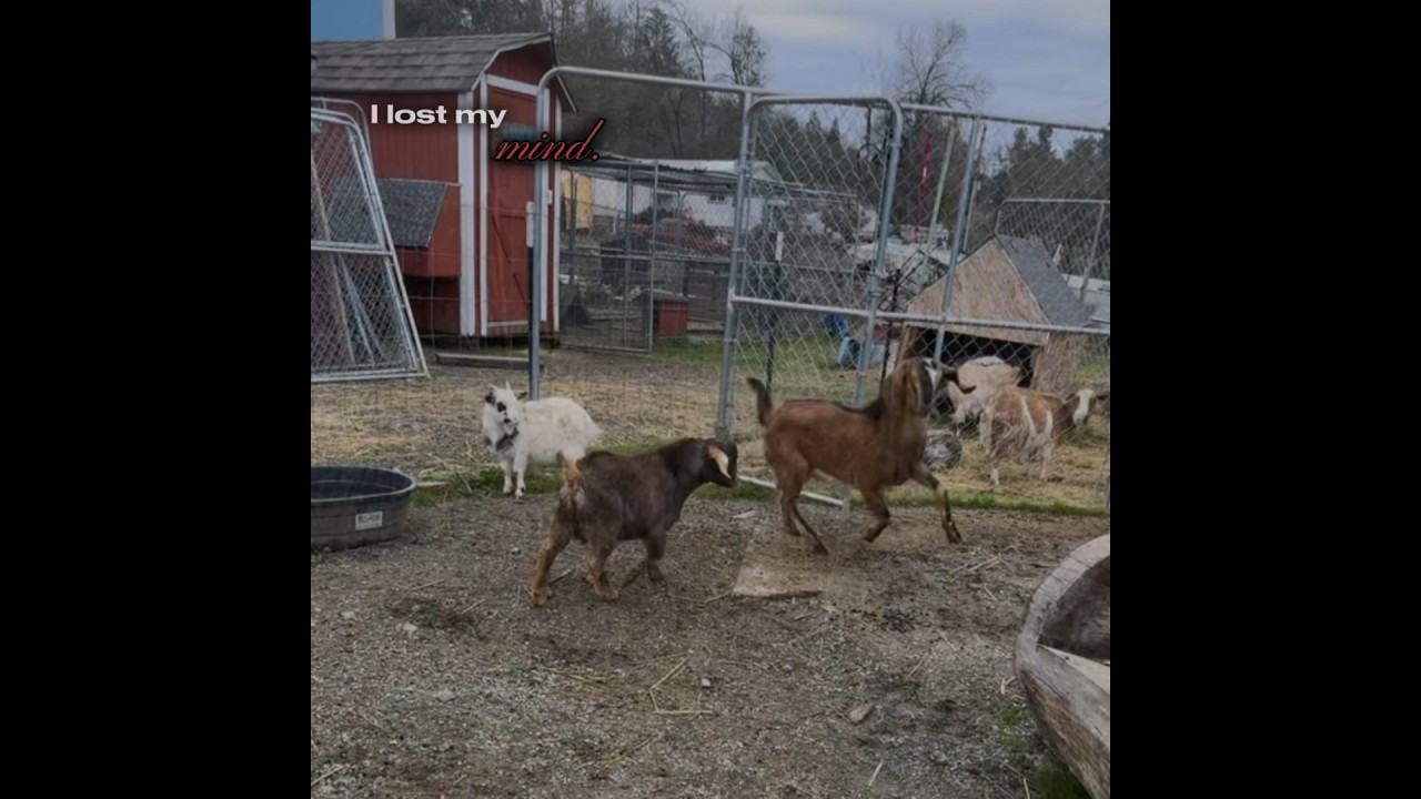 Blue and Delta😅 - YouTube