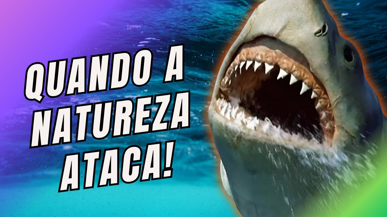 TOP FILMES DE ECO TERROR! (PARTE UM) - QUANDO OS ANIMAIS ATACAM! - YouTube