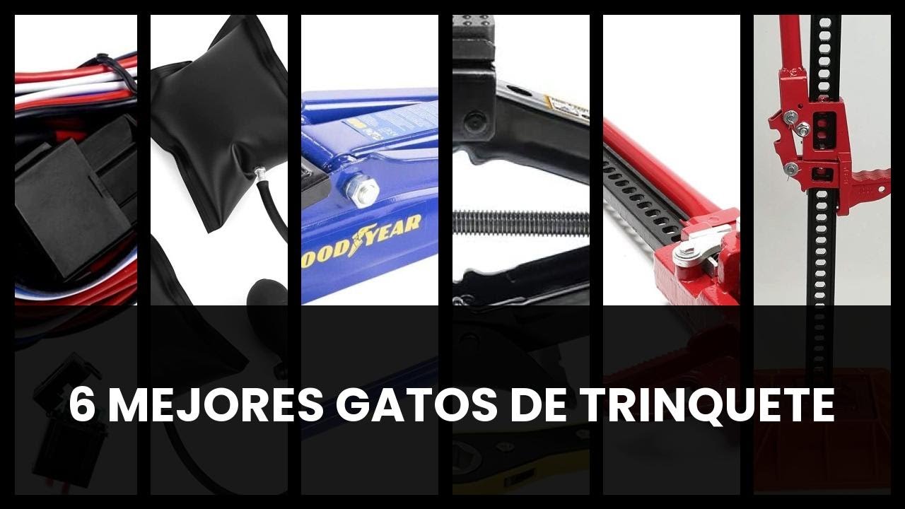 Gato de trinquete: 6 mejores gatos de trinquete - YouTube