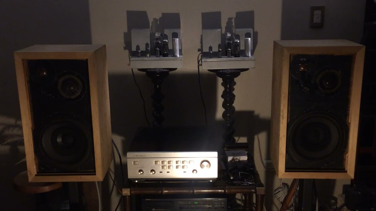 2 Finalista Prueba de Cables, Votado por la Gente - YouTube