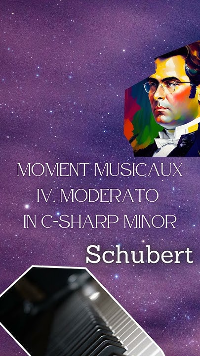 Schubert: Moment Musicaux - IV. Moderato in C-sharp minor - Burhan Erdemir - YouTube