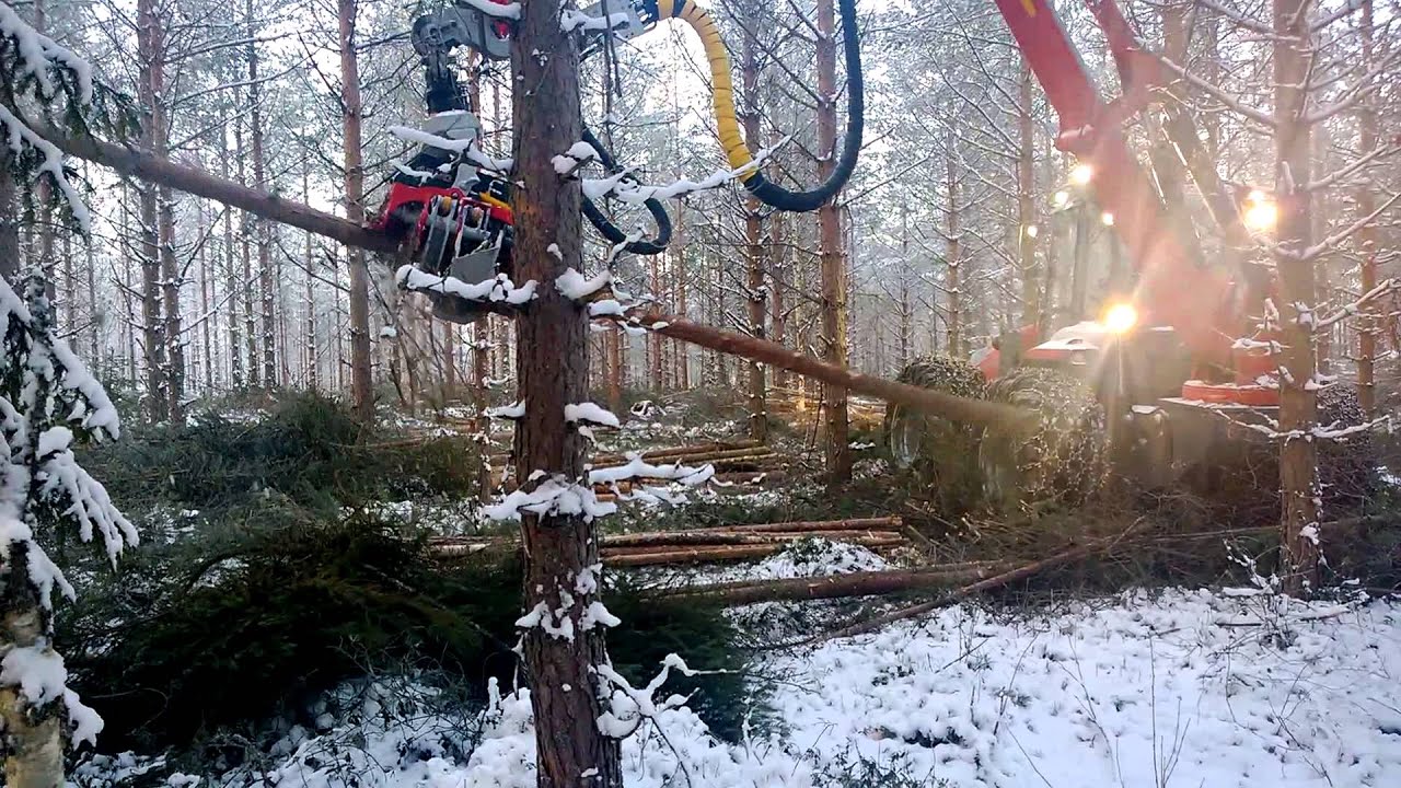 Nisula N4 & Nisula 425C harvester head - YouTube