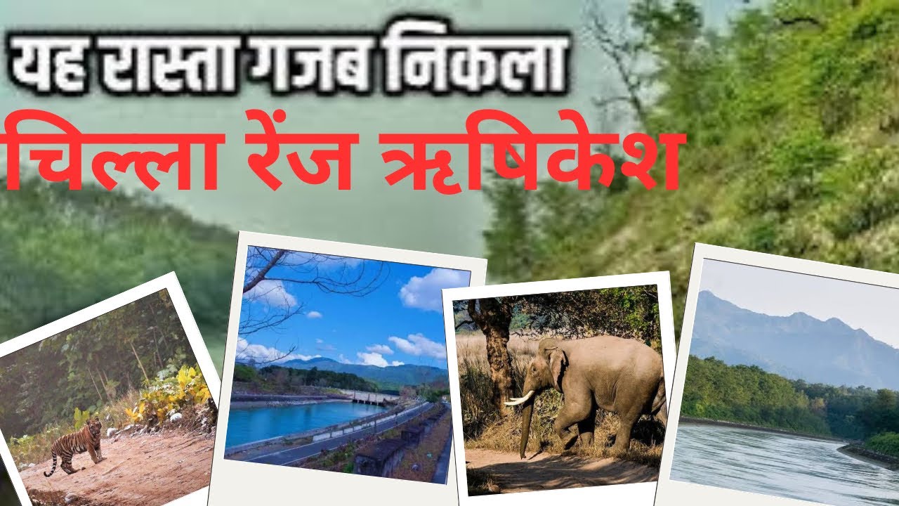 Rajaji Tiger Reserve || Chilla Range Rishikesh || Jungle Safari || By ...