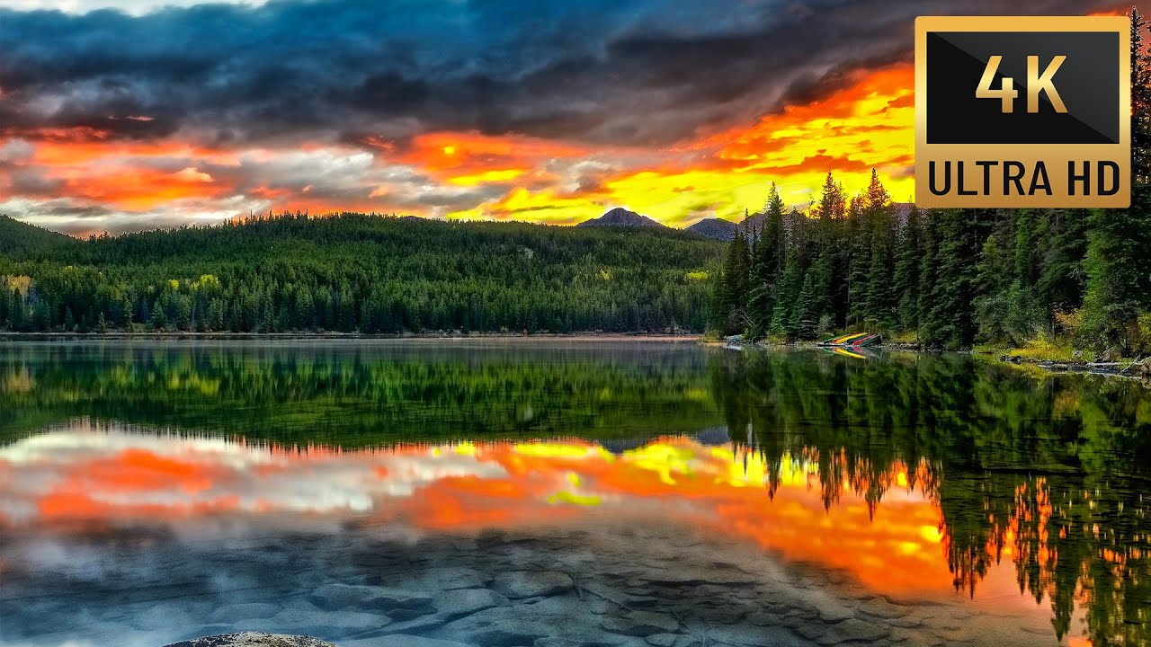 4K Spectacular Forests Aerial Views with Relaxation Music (4K VIDEO ...