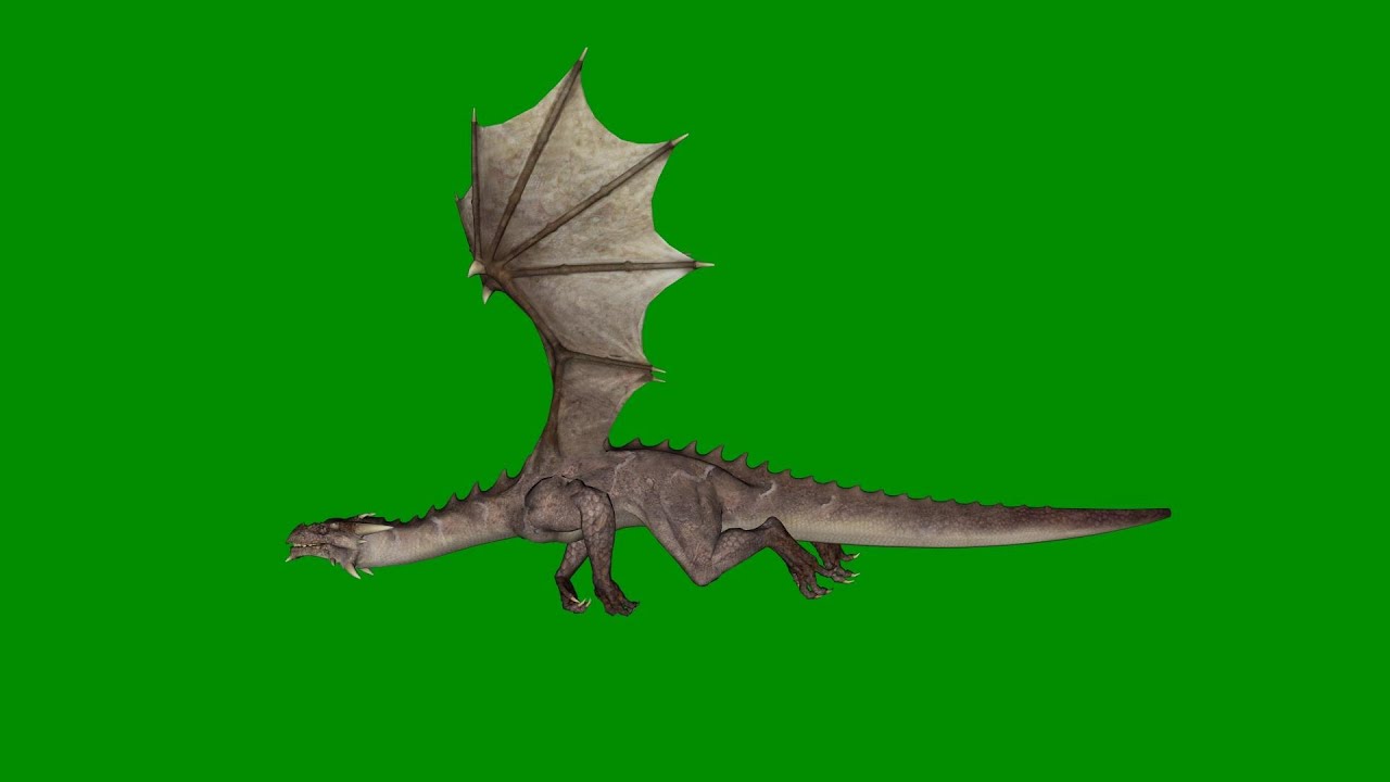 Greenscreen Dragon flight loops - YouTube