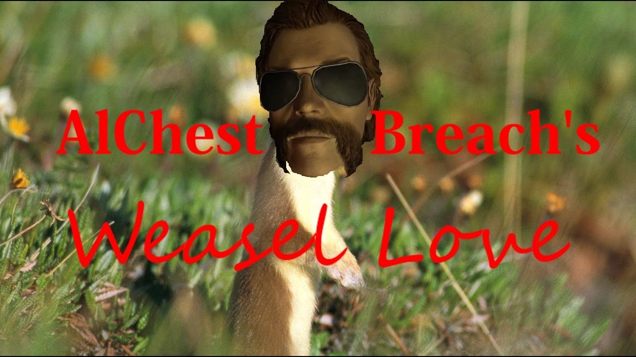 AlChestBreach's "Weasel Love" - YouTube