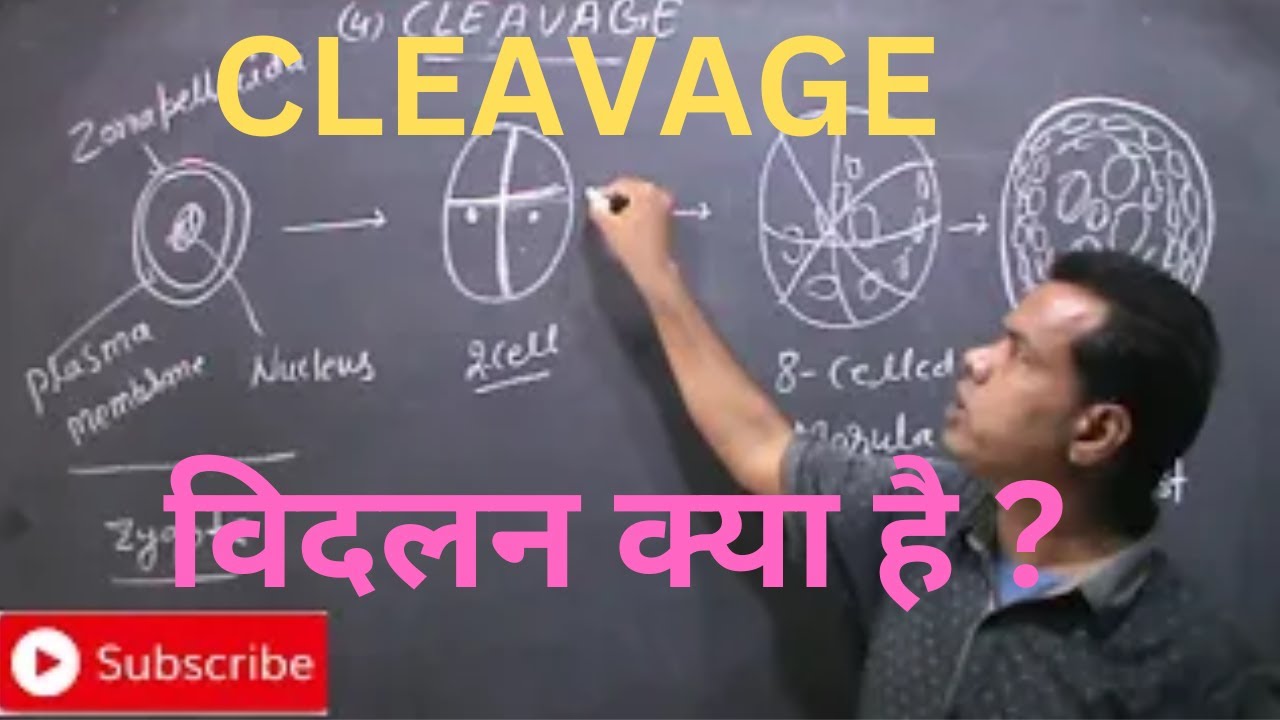 WHAT IS CLEAVAGE ? - YouTube