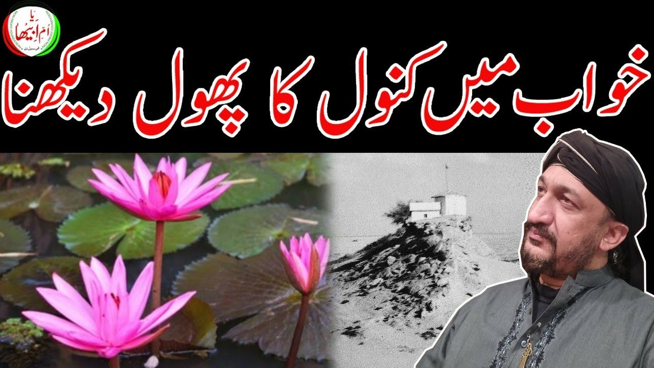 Khwab Me Kanwal Phool|کنول|پھول خواب|कमल का फूल सपना|Desi|Islam|Totkey ...