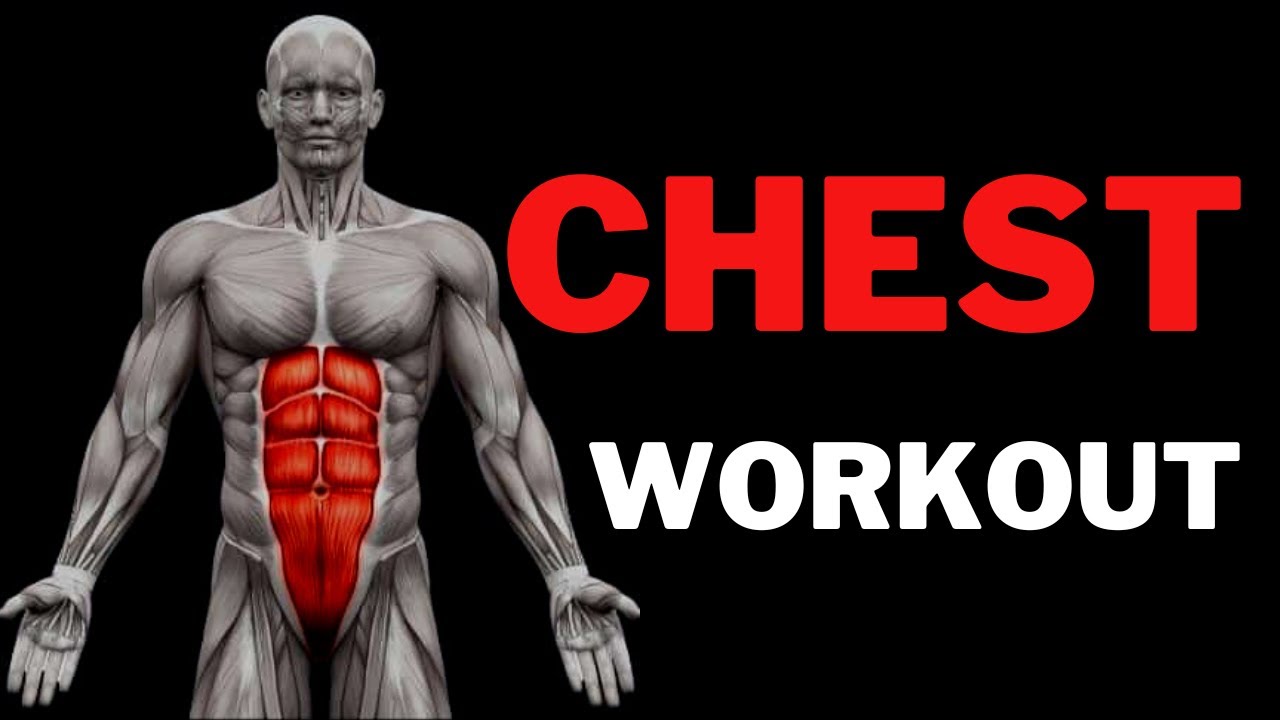 5 Chest Exercises That Will Shock You! - YouTube