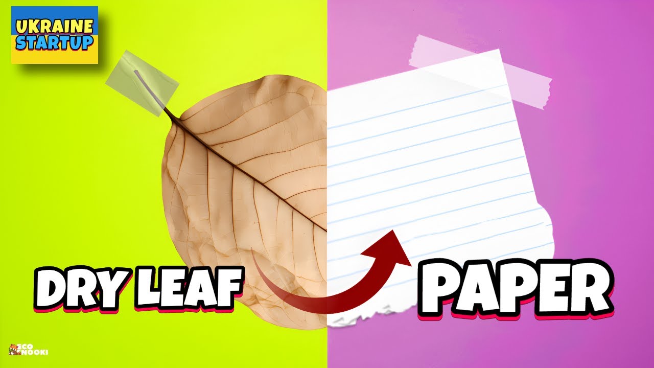 Ukraine's Amazing Startup Is Converting Dried Leaf to PAPER! - YouTube
