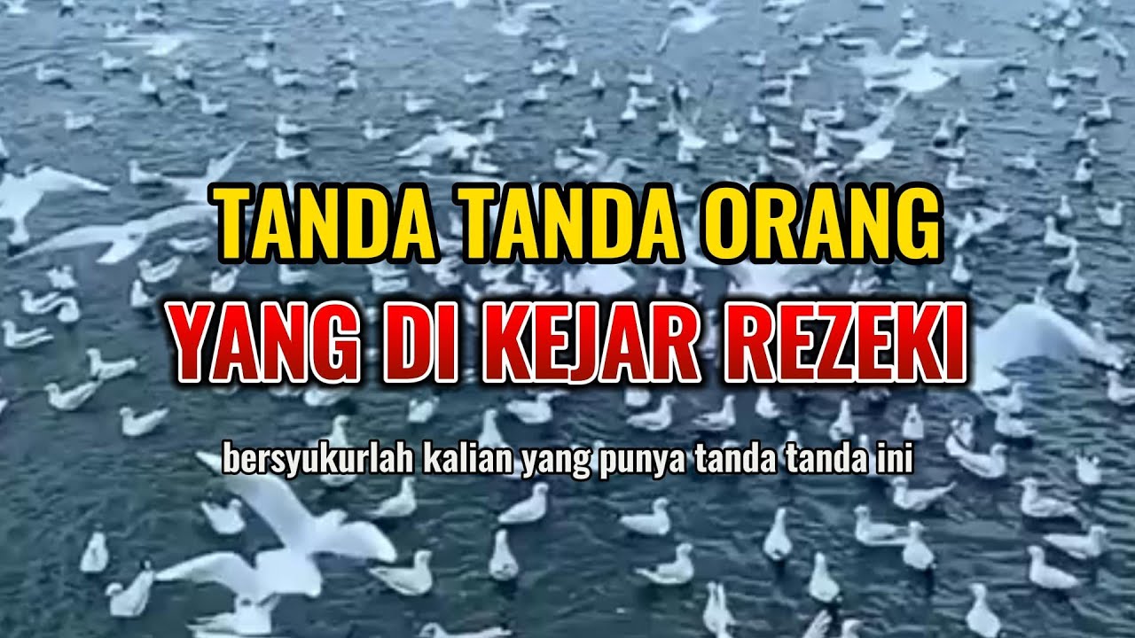 tanda tanda kamu dikejar rezeki !!! apakah anda tau tanda nya? # ...