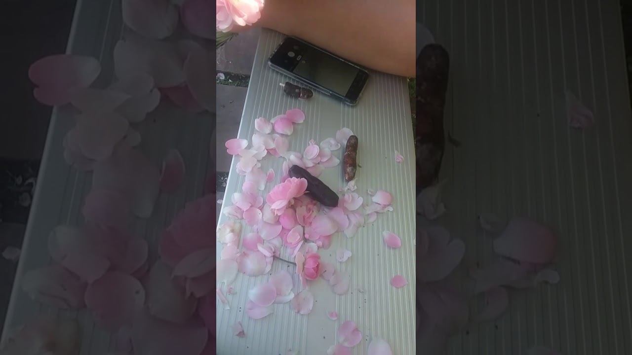 Poop wedding - YouTube