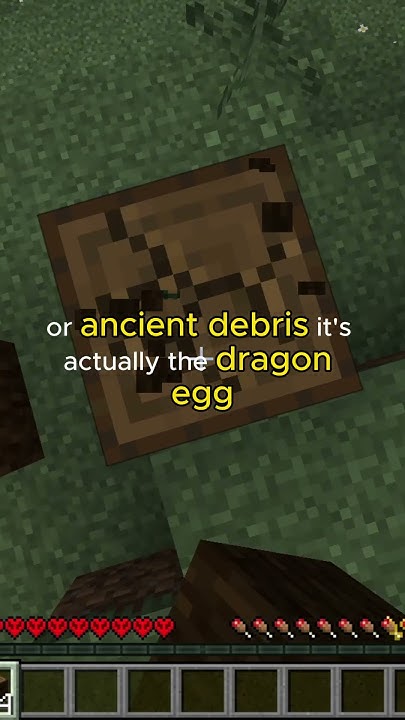 Rarest Block In Minecraft - YouTube