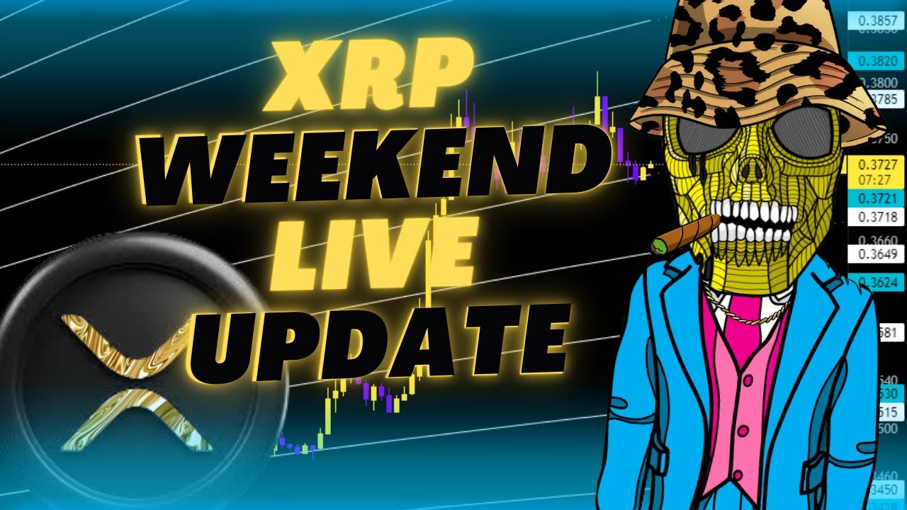 XRP PRICE UPDATE Live Stream - YouTube