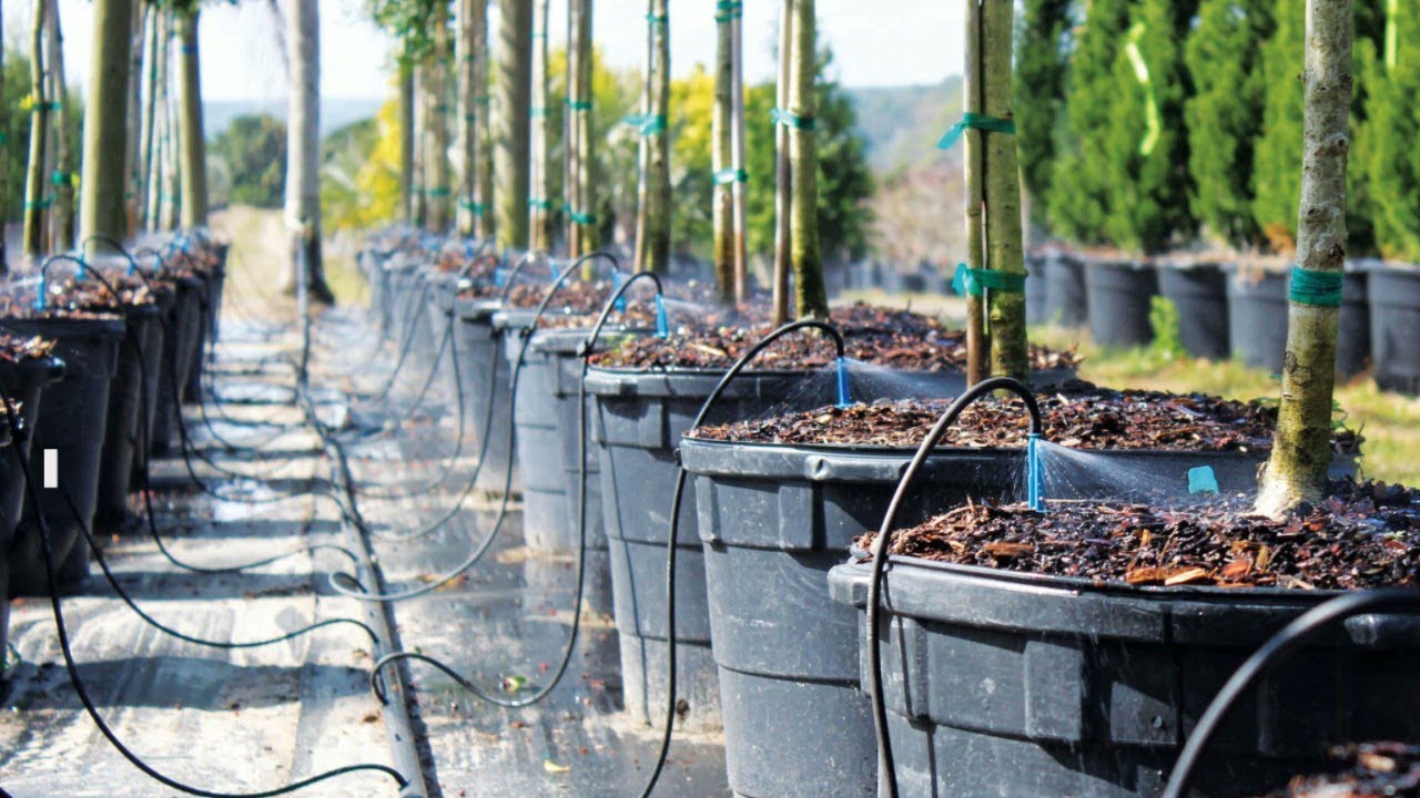 Nursery Pot Stakes by Maxijet - YouTube