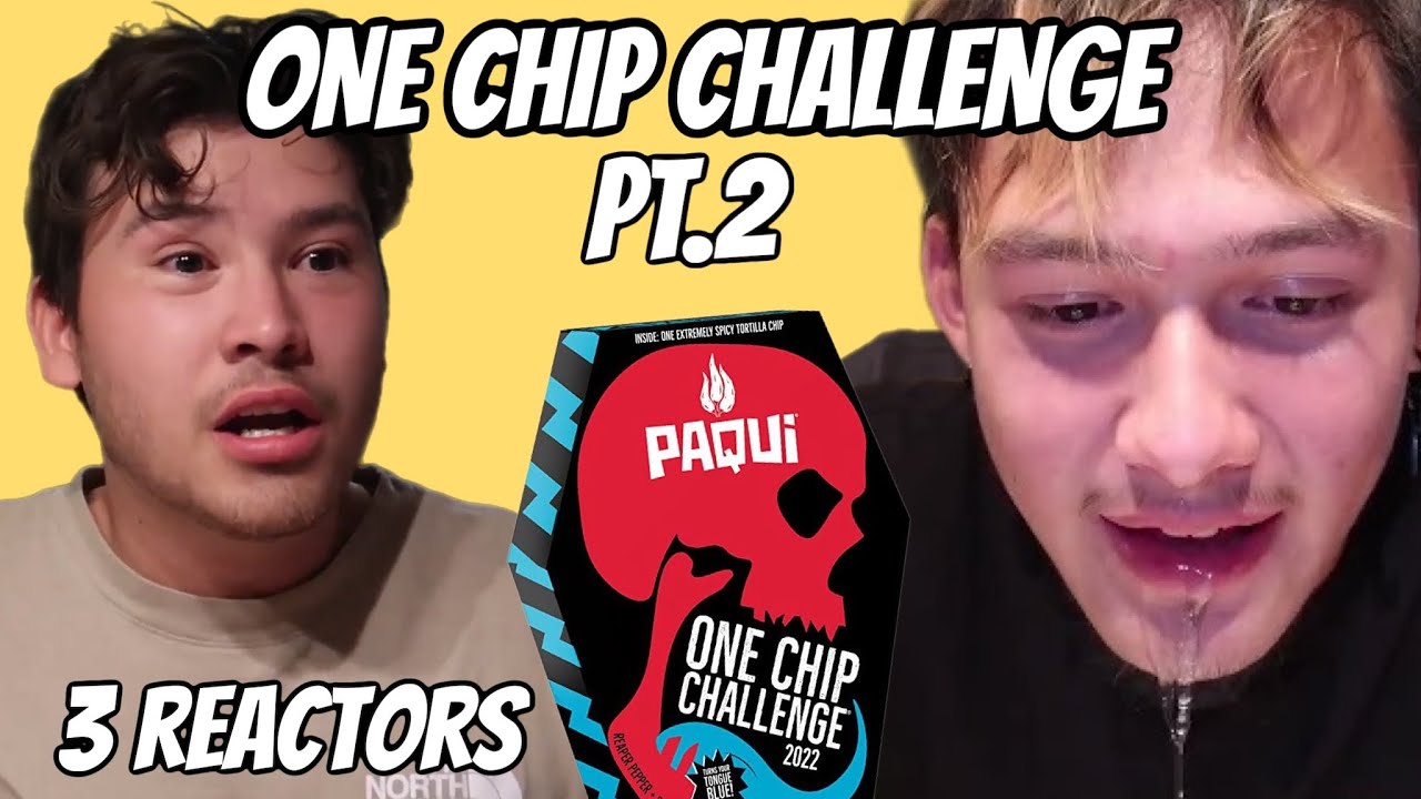 ONE CHIP CHALLENGE PART 2 (GONE EXTREMELY WRONG!!!) - YouTube