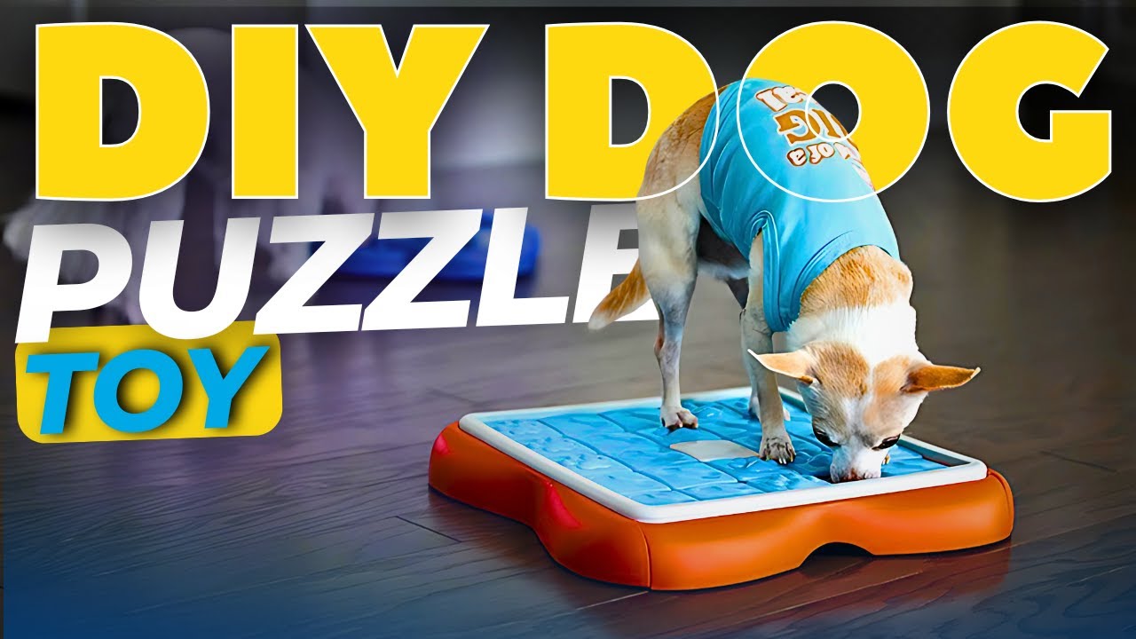 Homemade Dog Puzzle Toy from Cardboard | Fun & Mental Stimulation - YouTube