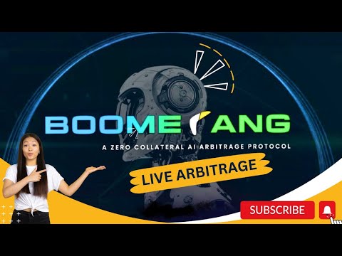Boomerang AI arbitrage Live Demo - YouTube