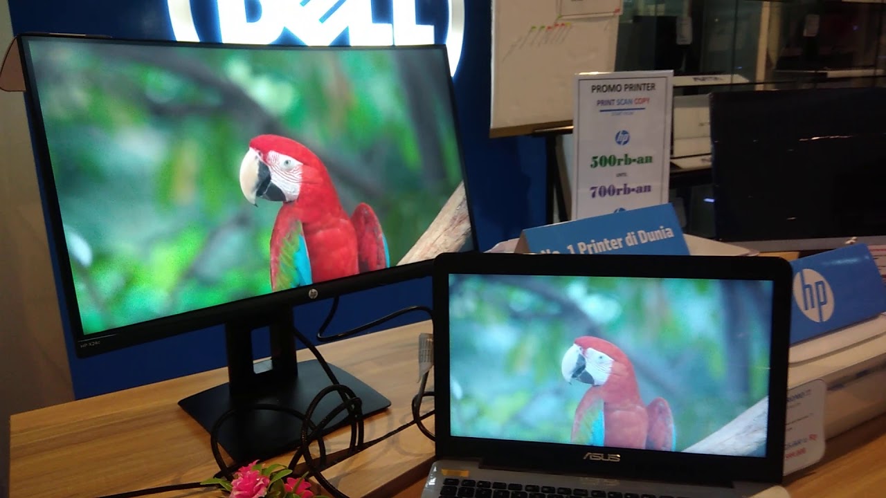 monitor hp x24c fhd curved gaming monitor - YouTube