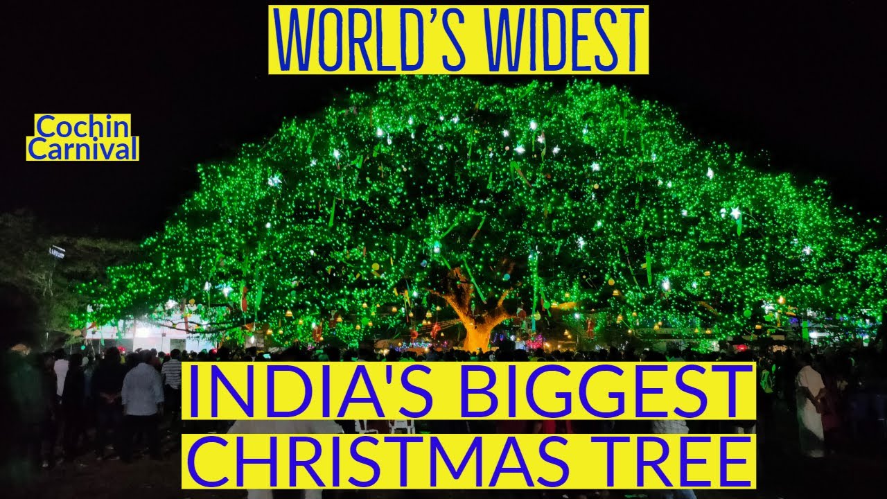 World's widest & India's biggest Christmas tree#Kerala#Fort Kochi ...