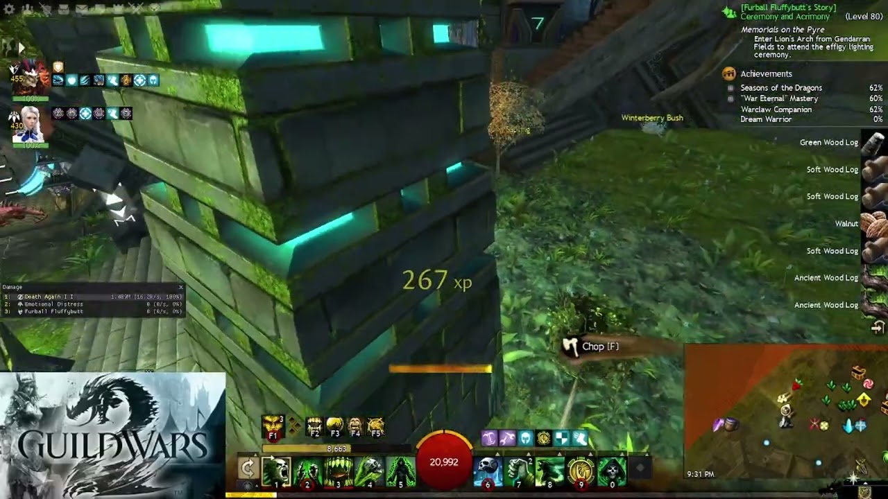 Guild Wars 2 : Home Instance Basics - YouTube