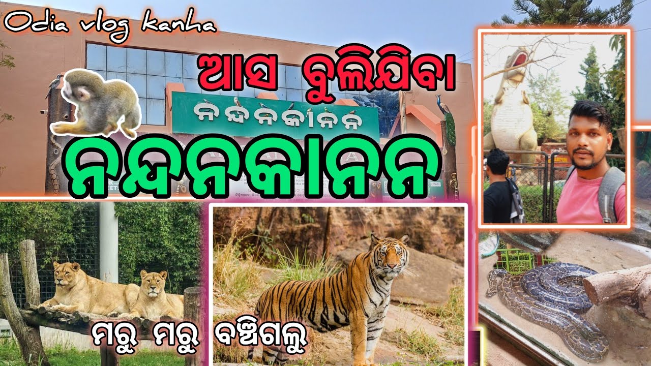 India's 2nd largest Zoo |Nandankanan Zoological Park Bhubaneswar ...